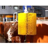 China ODM Automatic Cow Body Massage Brush - Swing Design for Farm Use with Up to 3.5% Milk Production Increase for sale