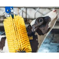 China ODM Automatic Cow Body Massage Brush - Swing Design for Farm Use with Up to 3.5% Milk Production Increase for sale