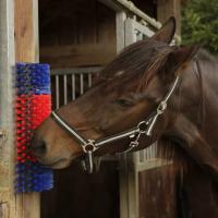 China Spinning Livestock Scratching Brush 500x220mm for Cow Cleaning and Parasite Removal - Blue/Red Custom Colors for sale