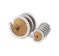 China OEM Industrial Spiral Coil Spring Brush with Nylon Filaments for Stripping and Cleaning Applications for sale