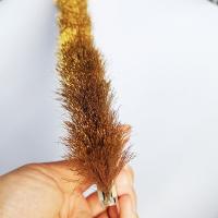 China Brass Bristle Flexible Industrial Brush Strip 0.08mm to 0.6mm Diameter with Customizable Dimensions and Materials for sale