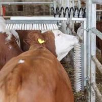 China OEM Rotary Cow Scratching Brush with 2-Point Pivot System for Livestock Comfort and Milk Yield Improvement for sale
