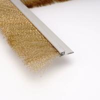 China Custom Stainless Steel Wire Strip Brush for Industrial Polishing 304 Grade for sale