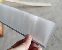 China Customized White Nylon Aluminum Alloy Brush Anti-Static Strip Brush for sale