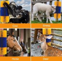 China Customizable Half Round Cattle Brush with Nylon Bristles for Livestock Scratching and Cleaning for sale
