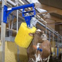 China Nylon / Pp Brush Silk Cattle Body Scratching Roller Brush For Farm Animal Massage for sale