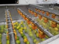 China Customized Nylon Cylindrical Brush Roller for Fruit Vegetable Cleaning Machine 60-600mm OD for sale