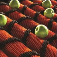 China Industrial Cylindrical Brush Nylon Wire Stainless Steel Shaft 60mm to 600mm OD for Fruit Cleaning Machine for sale