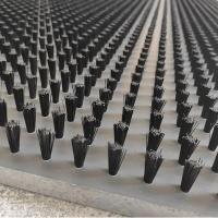 China Industrial Custom Plate Brush Food Grade Nylon Bristle for Food Applications 1200mm for sale
