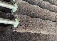 China Industrial Custom Horsehair Roller Brush for Fruit Vegetable Cleaning 100mm for sale