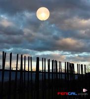 China 800W Dual White 80000Lm Moon Balloon Light Mountable On Tripod Or Truss for sale
