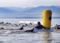 China Buoy Cylinder Water Race Marker Inflatable Water Buoys Floating Buoy With Logo for sale