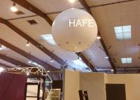 China Custom 3m/10ft Helium Ads Balloons With White Or RGB Light Used At A Trade Fair for sale