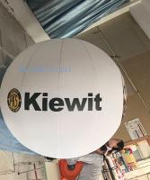 China Custom Logo Inflatable Balloon for Events, Branding, Advertising Displays, and Promotions for sale
