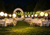 China Pearl SE LED Balloon Light with Customizable Envelope, Multiple Power Options, and Versatile Mounting for Professional Events for sale