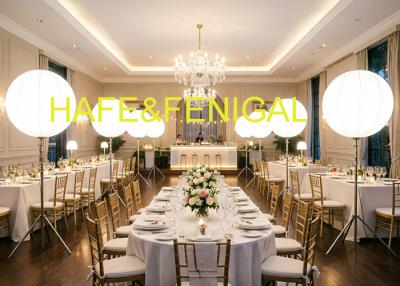 China Pearl-LED600DSE 600W High-Efficacy Balloon Light with Non-Glare Spherical Diffuser and Customizable Brand Envelopes for sale