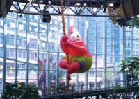 China Custom Suspended Inflatable Starfish Display with 6 Meters Diameter for High-Impact Visual Attraction in Shopping Malls for sale