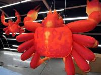 China Giant Hanging Inflatable Lobster and Crab Props with 6 Meters Sphere Diameter, PVC or Nylon Material, and 110V / 220V Power Supply for sale