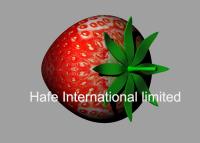 China Red Color 5M Height Inflatable Strawberry With 10M Rope For Fruit Festival UK for sale
