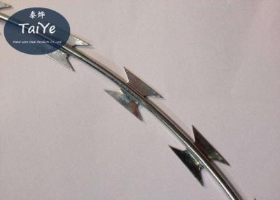 China High Strength BTO 22 Razor Wire Double Lined Good Deterrent Blade Wire Fencing for sale