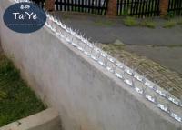 China Large Sized Razor Wall Security Spikes Customized Burglar Proof Fence Spikes for sale