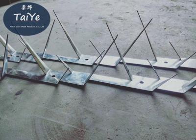 China Medium Sized Wall Security Spikes Steel Plate Full Color Easy To Install for sale