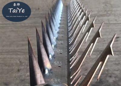 China Galvanized  Sharp Wall Security Spikes For Protecting Gates And Walls Fences for sale