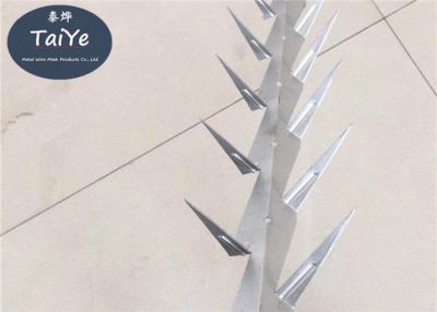 China Hot Dipped Galvanized	Wall Security Spikes  1.25m Long Anti Climb Spikes for sale