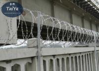 China BTO-22  CBT-65 Used Together With Chain Link Fence, Welded Mesh Hot Dip Galvanized Razor Blade Iron Wire for sale