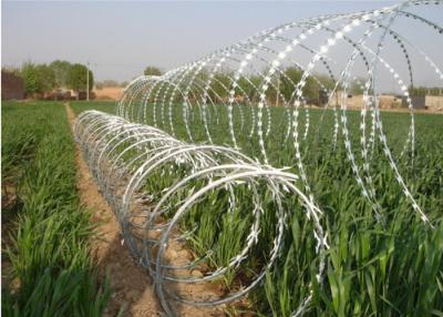 China 2.5mm Concertina Galvanized Razor Barbed Wire For Highway / Farm / Garden for sale