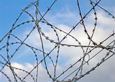 China BTO -22 Stainless Steel Razor Blade Barbed Wire,Fence Concertina Razor Wire for sale