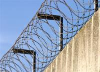 China Galvanized Concertina / Thorn Wire , Razor Wire Fence BTO22 Outdoor Using for sale