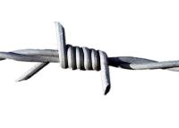 China Electric Galvanized 2.5mm Barbed Wire Mesh Pvc Coated Of Low Corbon Steel Wire for sale