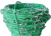 China Powder Coating Metal Mesh Steel Security Barbed Wire For Government Buildings for sale