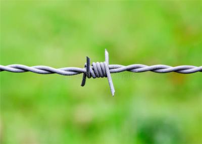 China 14 Gauge Galvanized Security Barbed Wire Plastic Barbed Wire Security Fence for sale
