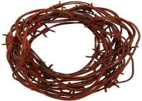 China 14 Gauge Galvanized Security Barbed Wire Plastic Barbed Wire Security Fence for sale