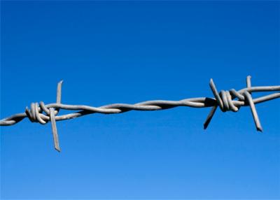 China Iron Iso Galvanized Gaucho Prison Barbed Wire Wire Mesh Sucurity Fence for sale