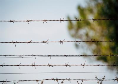 China Wire Fence Prison Guage Security Barbed Wire , Durable Constantine Razor Wire for sale