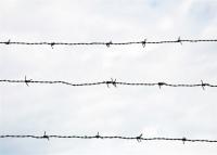 China 12.5 Guage Galvanized Barbed Wire PVC Coated High Security Wire Fence for sale