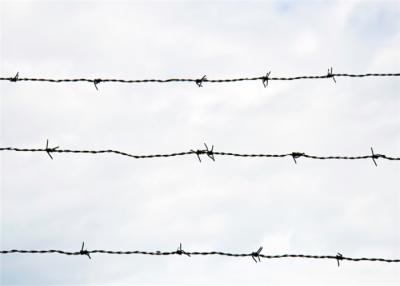 China 12.5 Guage Galvanized Barbed Wire PVC Coated High Security Wire Fence for sale