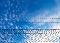 China 12.5 Guage Galvanized Barbed Wire PVC Coated High Security Wire Fence for sale