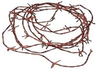 China Stainless Steel Galvanized Barbed Wire Coiled Barbed Wire With PVC Coated for sale
