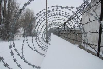 China Galvanized Safety Razor Barbed Wire / Durable Decorative Razor Wire Fencing for sale