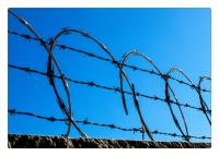 China Iron Wire Material And Barbed Wire Razor Type For Fence Electrical Welded for sale