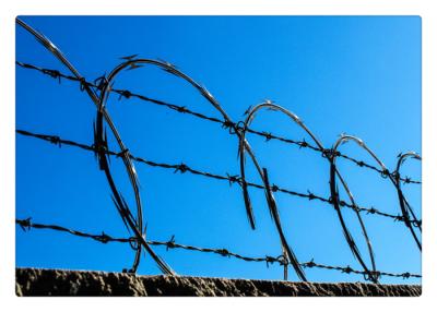 China Iron Wire Material And Barbed Wire Razor Type For Fence Electrical Welded for sale