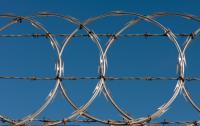 China Iron Wire Material And Barbed Wire Razor Type For Fence Electrical Welded for sale