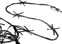 China Small Roll Of High Tensile Security Barbed Wire Ribbon Type Wall Spikes On Fence for sale