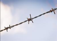 China Stainless Steel Galvanized Barbed Wire Coiled Barbed Wire Bulk Barbed Wire for sale