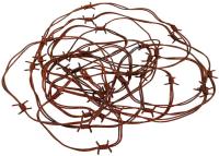 China 25kg Galvanised Steel 1.6mm Security Barbed Wire And 1.5mm Thick Barbs Ideal for sale