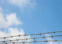 China Anti - Climb Wall Spike Security Barbed Wire , Iron Wire Razor Barbed Tape for sale